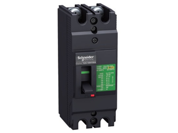 MCCB 2P 60A 50kA 220/240V EZC100H2060 Schneider